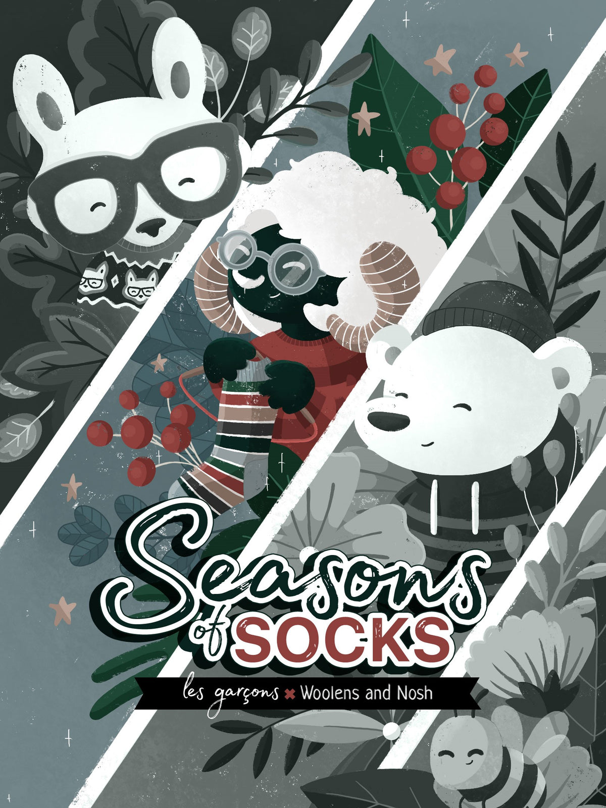Seasons of Socks - Winter (self-striping sock set)– Les Garçons